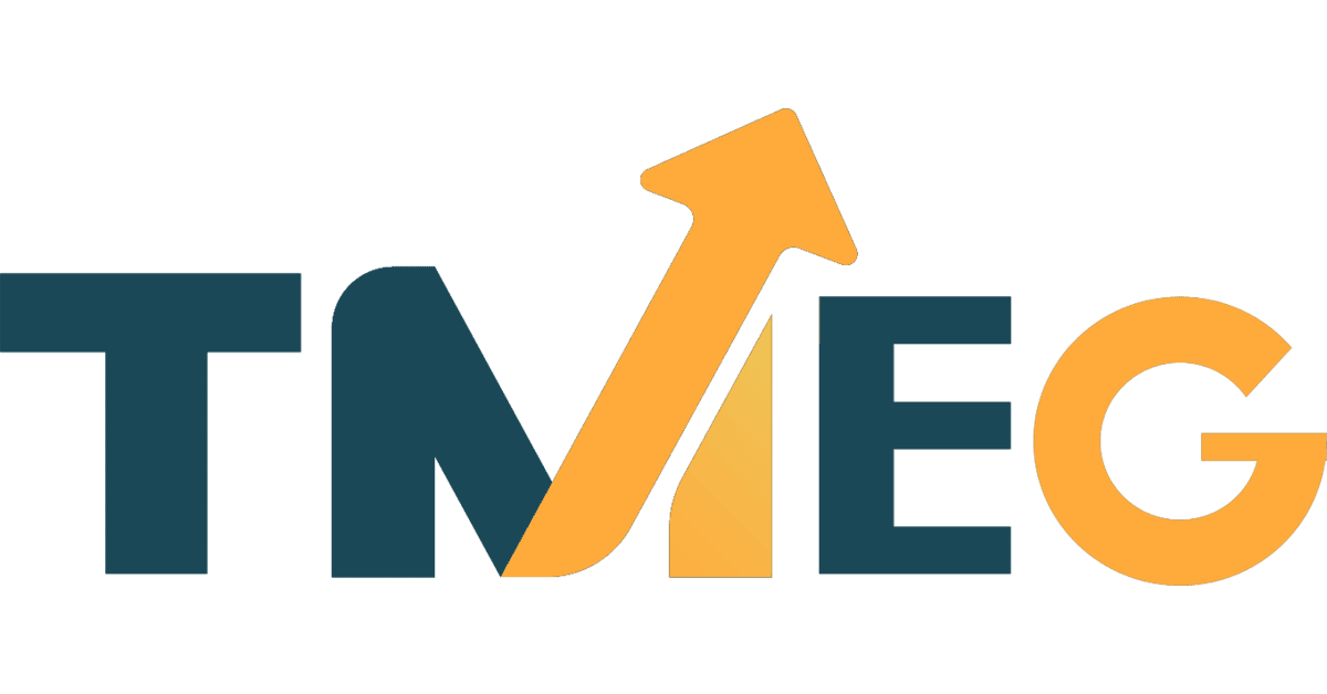 TMEG Financial Solutions | Professional Financial Services in South Africa
